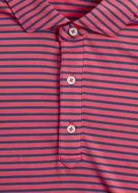 Two Color Stripe Performance Polo