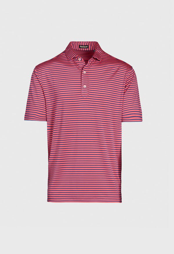 Two Color Stripe Performance Polo
